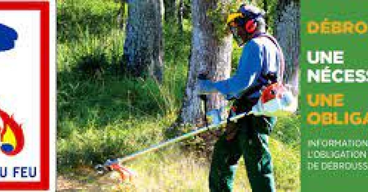 Débroussailler son terrain et les abords de son habitation, c’est ...